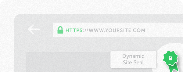 Free vs Premium SSL Certificates